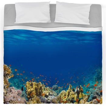 Coral reef Comforters, Duvets, Sheets & Sets | Custom