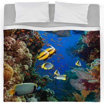 Coral reef Comforters, Duvets, Sheets & Sets | Custom