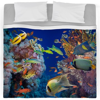 Tropical fish Comforters, Duvets, Sheets & Sets | Custom