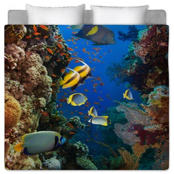 Tropical fish Comforters, Duvets, Sheets & Sets | Custom