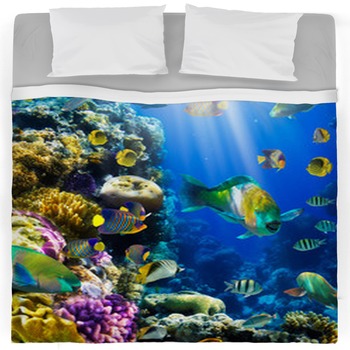 Coral reef Comforters, Duvets, Sheets & Sets | Custom