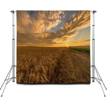 Country Photo Backdrops | Available in Ultra Large Custom Sizes