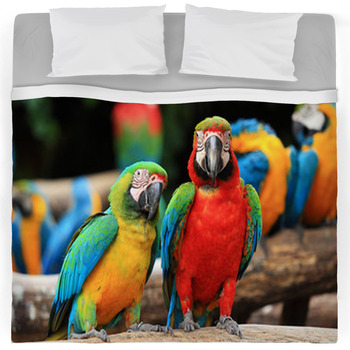 Parrot Comforters, Duvets, Sheets & Sets | Personalized