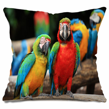 Parrot Throw Pillows, Shams & Pillow Cases