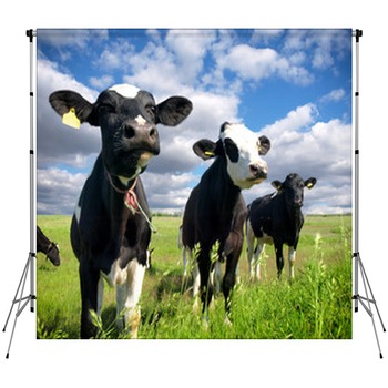 Farm animal Custom Backdrops | Available in Very Large Custom Sizes