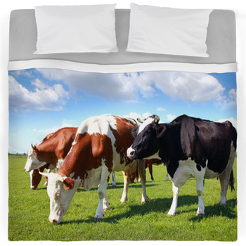 Cow Bedding | Comforters, Duvet Covers, Sheets & Bed Sets | Personalized