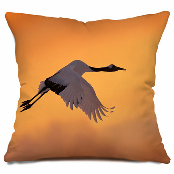 Crane Throw Pillows, & Shams