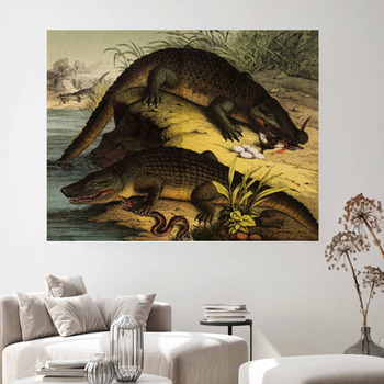 Alligator & crocodile Wall Decor in Canvas, Murals, Tapestries, Posters ...