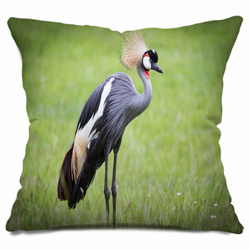 Crane Throw Pillows, & Shams
