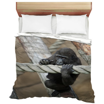 Gorilla Comforters, Duvets, Sheets & Sets | Custom