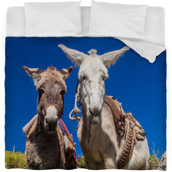 Donkey Comforters, Duvets, Sheets & Sets | Personalized
