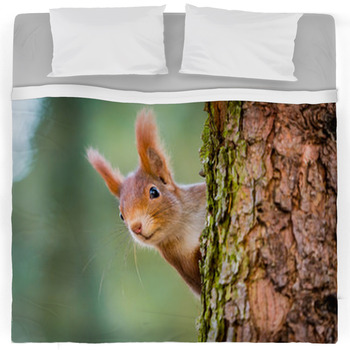 Squirrel Comforters, Duvets, Sheets & Sets | Personalized