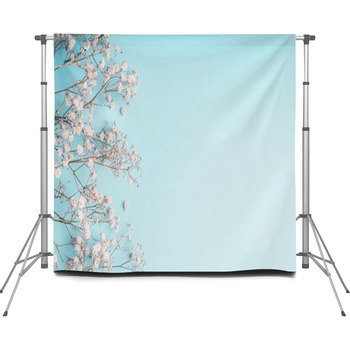 Pastel Custom Backdrops | Available in nearly ANY Custom Sizes