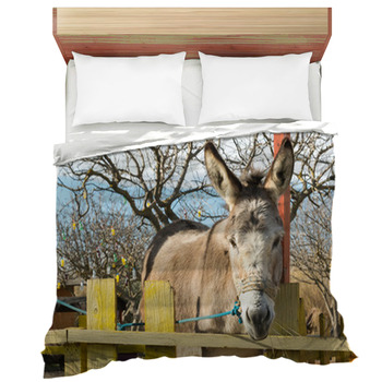Donkey Comforters, Duvets, Sheets & Sets | Personalized