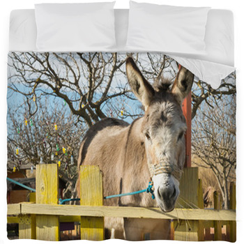 Donkey Comforters, Duvets, Sheets & Sets | Personalized