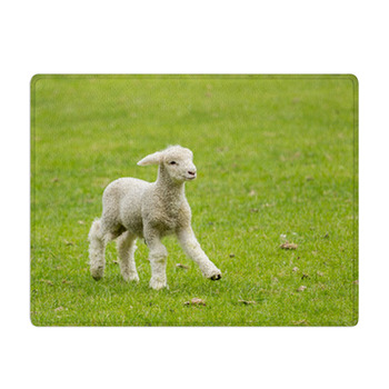 Sheep Shower Curtains, Mats, & Towels Personalize