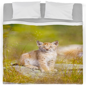 Bobcat Comforters, Duvets, Sheets & Sets | Personalized