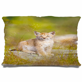 Bobcat Comforters, Duvets, Sheets & Sets | Personalized