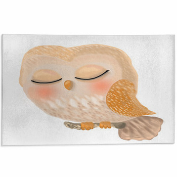 Owl Area Rugs & Custom Size Floor Mats