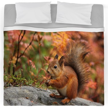 Squirrel Comforters, Duvets, Sheets & Sets | Personalized