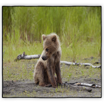 Bear Area Rugs & Custom Size Floor Mats
