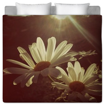Daisy Comforters, Duvets, Sheets & Sets | Custom