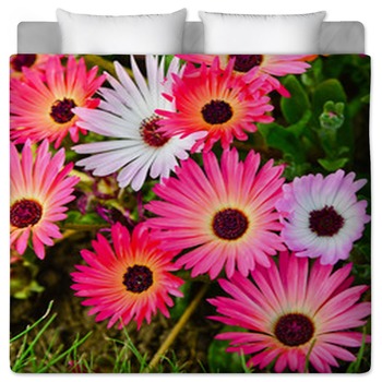 Nature Comforters, Duvets, Sheets & Sets | Personalized