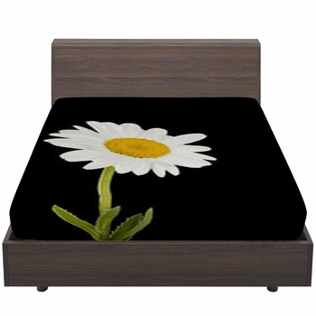 Daisy Comforters, Duvets, Sheets & Sets | Custom