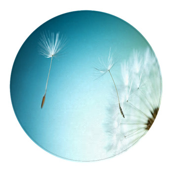 Dandelion Area Rugs & Floor Mats