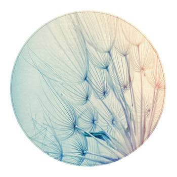 Dandelion Area Rugs & Floor Mats