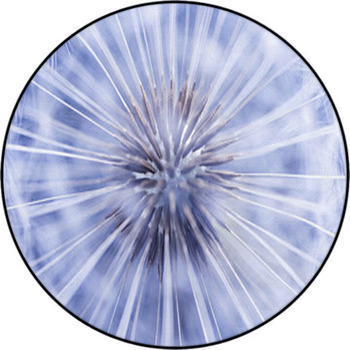 Dandelion Area Rugs & Custom Size Floor Mats