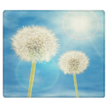 Dandelion Area Rugs & Custom Size Floor Mats