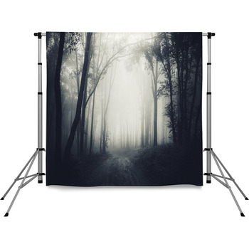 Forest Photographer Backdrops | Available in Ultra Large Custom Sizes