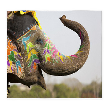 Elephant Area Rugs & Custom Size Floor Mats