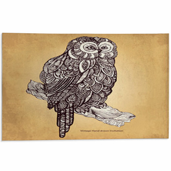 Owl Area Rugs & Custom Size Floor Mats