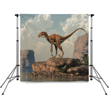 Dinosaur Photo Backdrops | Available in Very Large Custom Sizes