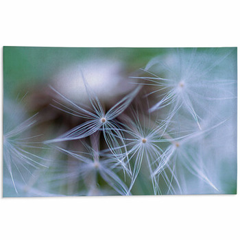 Dandelion Area Rugs & Floor Mats