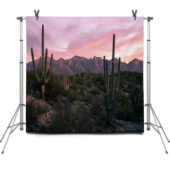 Cactus Photographer Backdrops | Available in Ultra Large Custom Sizes