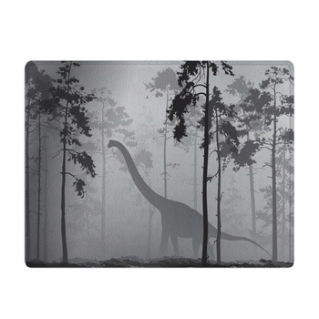 Dinosaur Shower Curtains, Bath Mats, & Towels Personalize