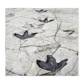 Dinosaur Area Rugs & Custom Size Floor Mats