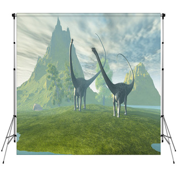 Dinosaur Photo Backdrops | Available in Very Large Custom Sizes