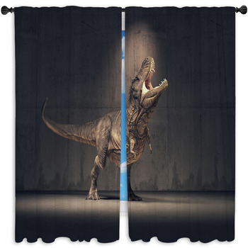 Dinosaur Drapes & Window Treatments | Block Out | Custom Sizes