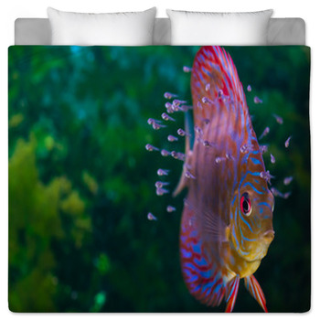 Tropical fish Comforters, Duvets, Sheets & Sets | Custom