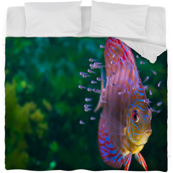 Tropical fish Comforters, Duvets, Sheets & Sets | Custom