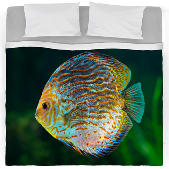 Tropical fish Comforters, Duvets, Sheets & Sets | Custom
