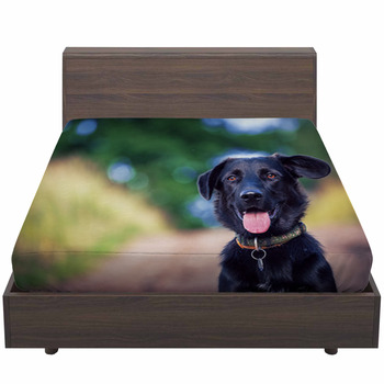 Dog Comforters, Duvets, Sheets & Sets | Personalized