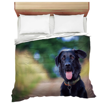 Dog Comforters, Duvets, Sheets & Sets | Personalized