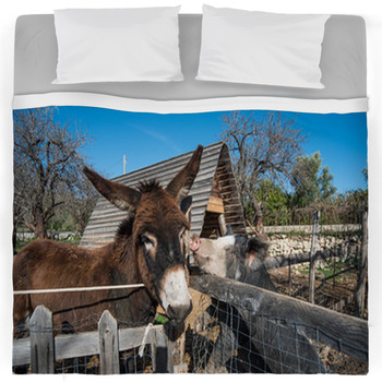 Donkey Comforters, Duvets, Sheets & Sets | Personalized