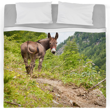 Donkey Comforters, Duvets, Sheets & Sets | Personalized