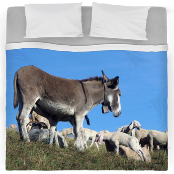 Donkey Comforters, Duvets, Sheets & Sets | Personalized